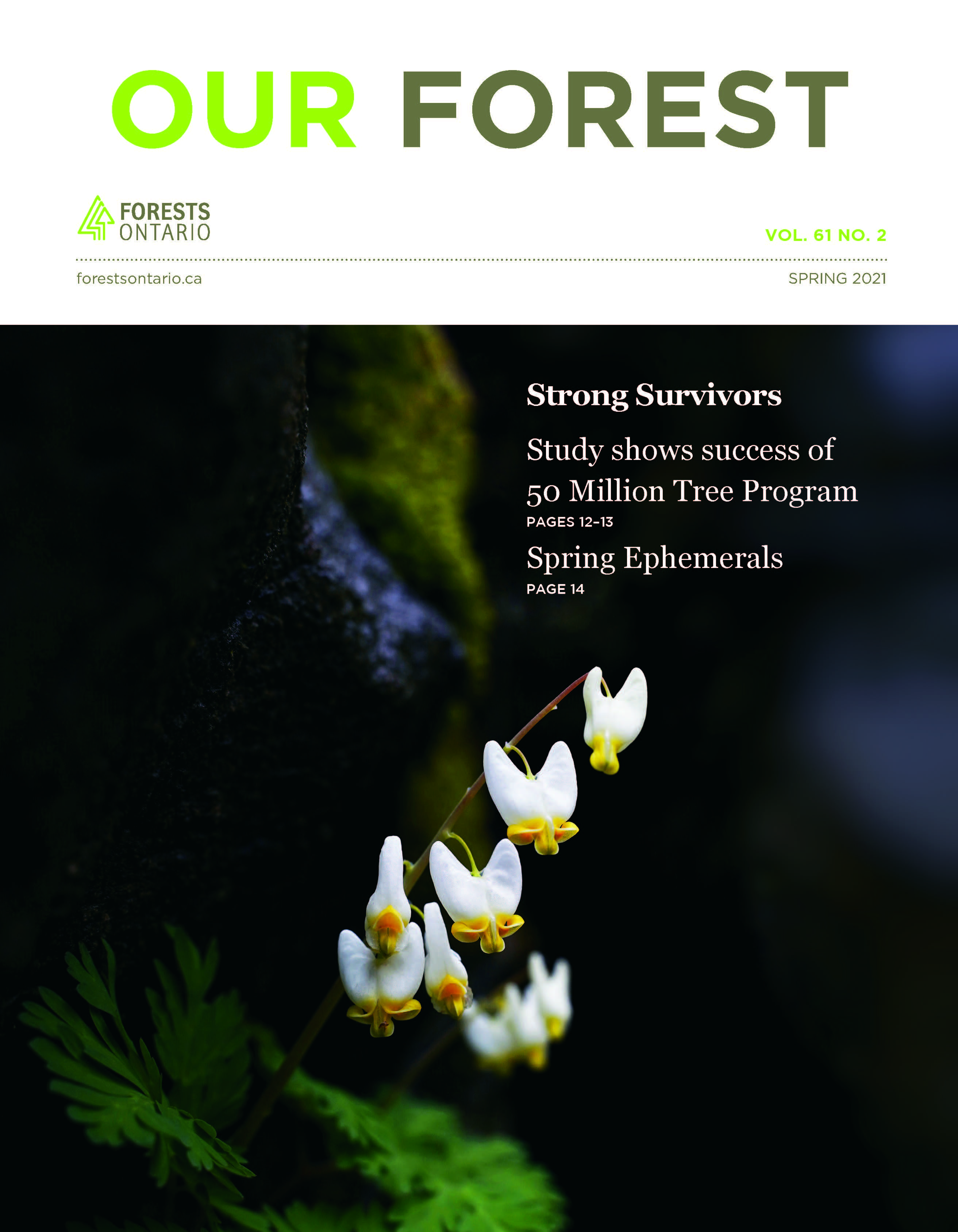 Our Forest Magazine - Volume 61, Number 2 | Forests Canada
