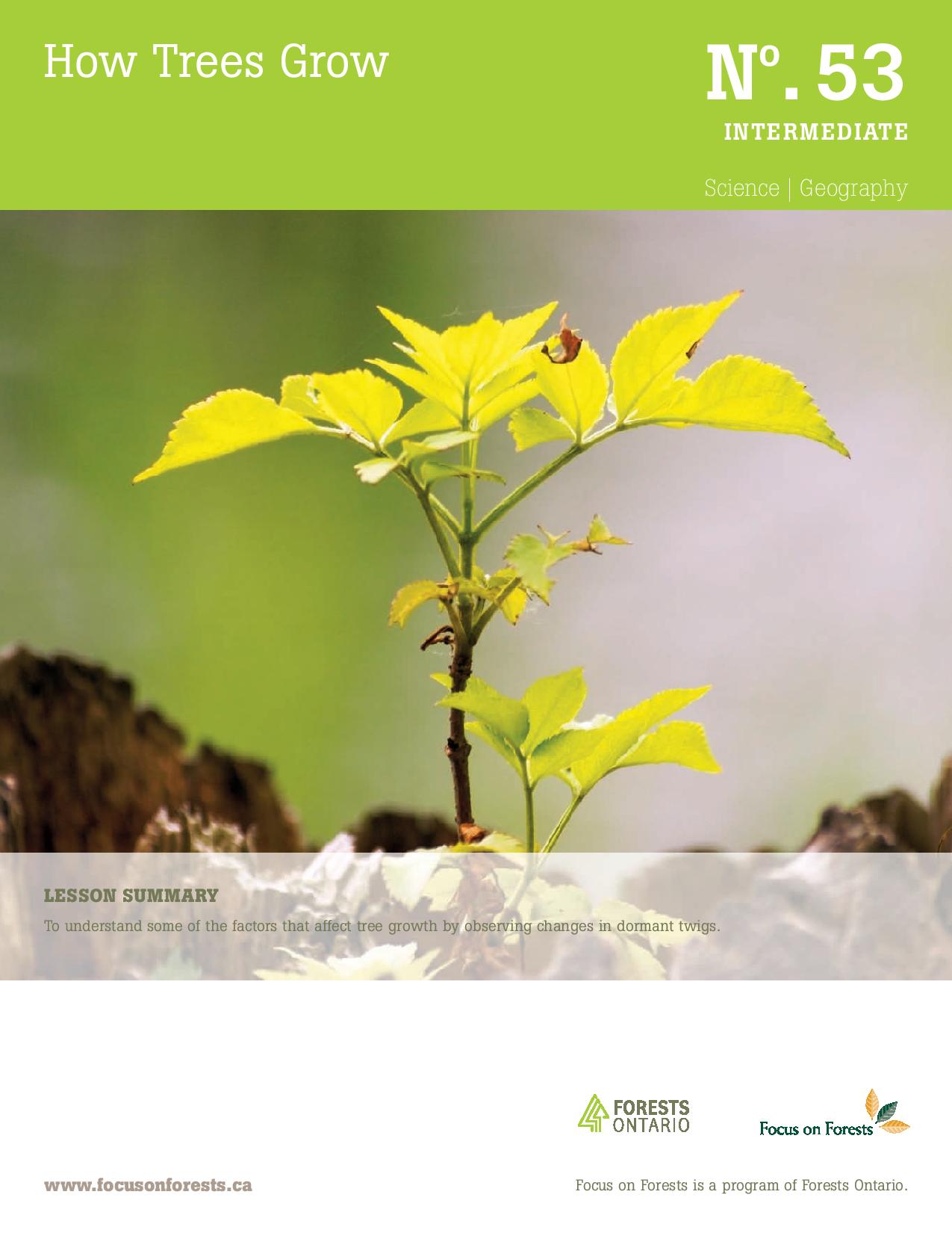 How Trees Grow | Forests Canada