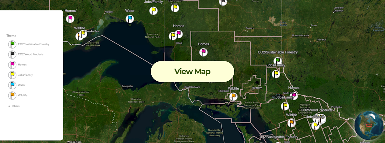 It Takes A Forest | Forests Canada