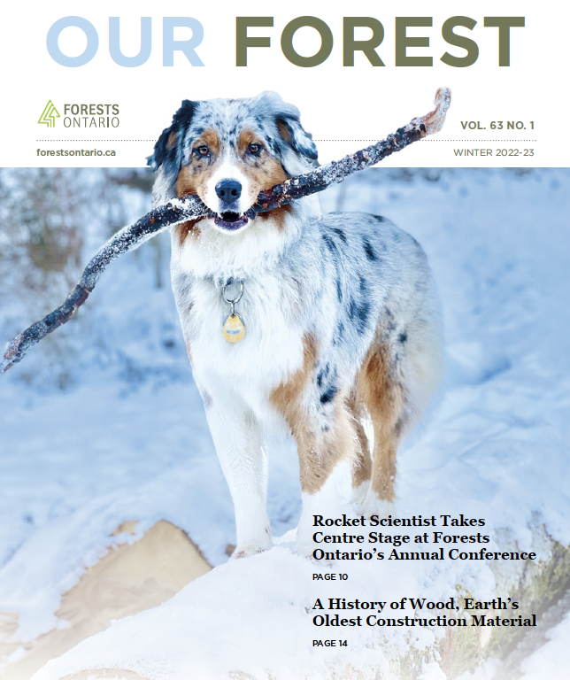Our Forest Magazine - Volume 63, Number 1 | Forests Canada