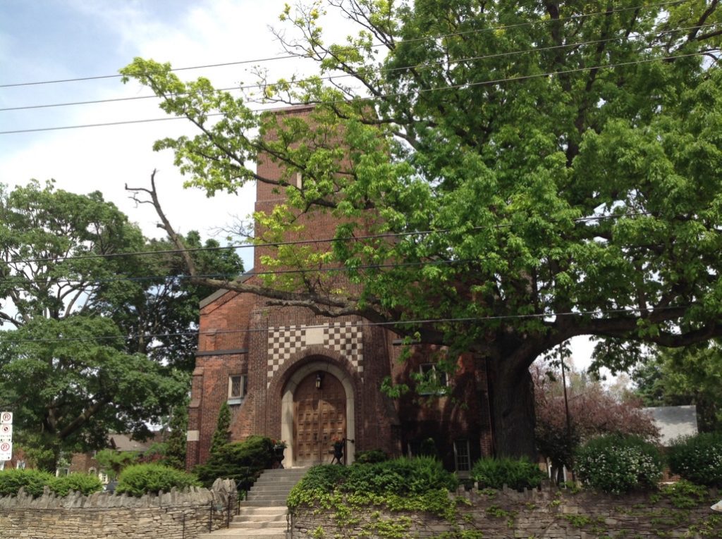 Heritage Tree - HT-2016-117-122 | Forests Canada