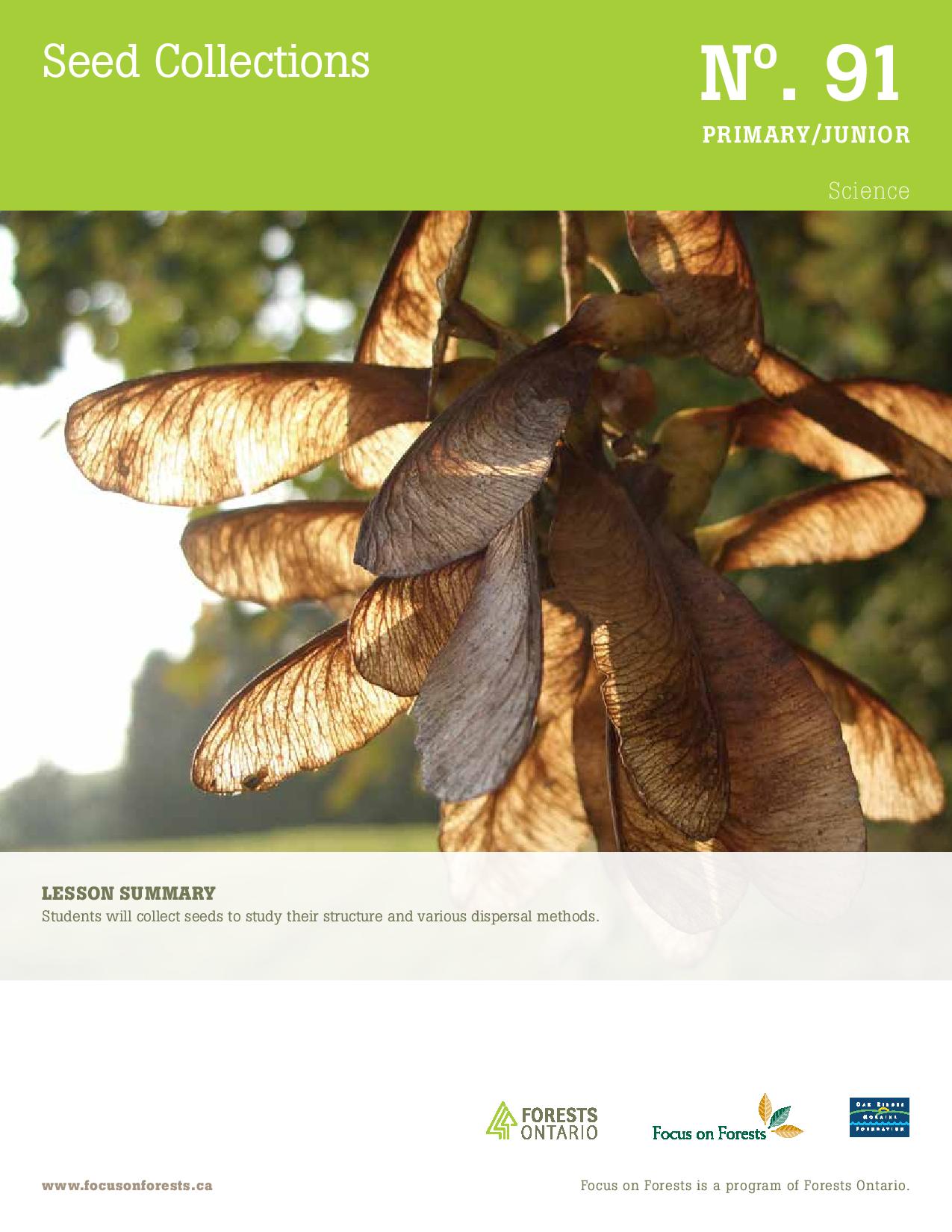 Seed Collection | Forests Canada