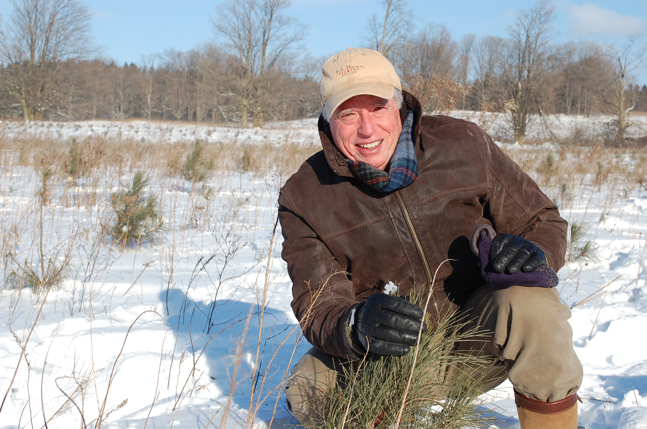 Green Leader Mark Cullen Undertakes Ambitious Restoration Project ...