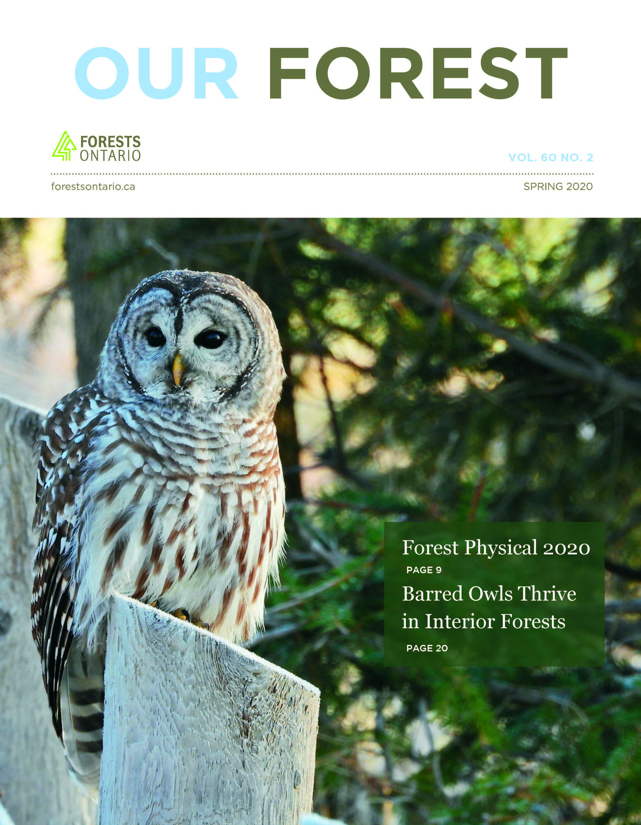 Our Forest Magazine - Volume 60, Number 2 | Forests Canada