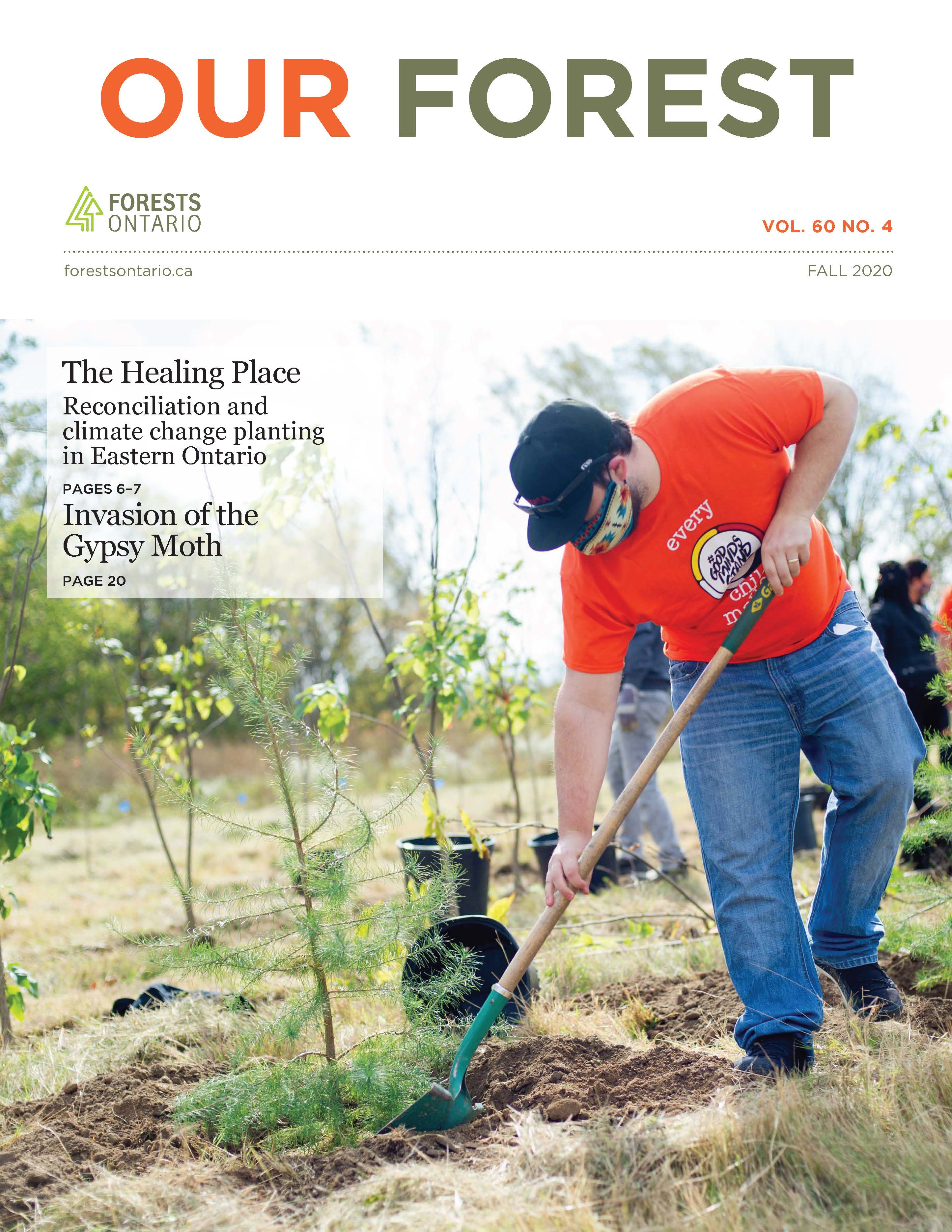 Our Forest Magazine - Volume 60, Number 4 | Forests Canada