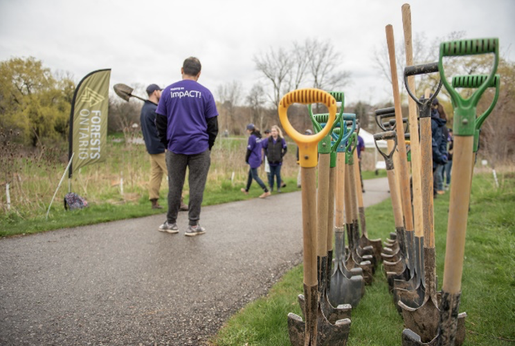 Forests Ontario & Imperial are #SproutingImpact by planting 25,000 ...