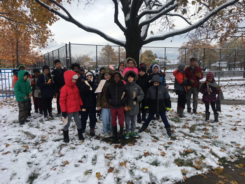 Tree Identification With Grade School Students in North Toronto: A ...