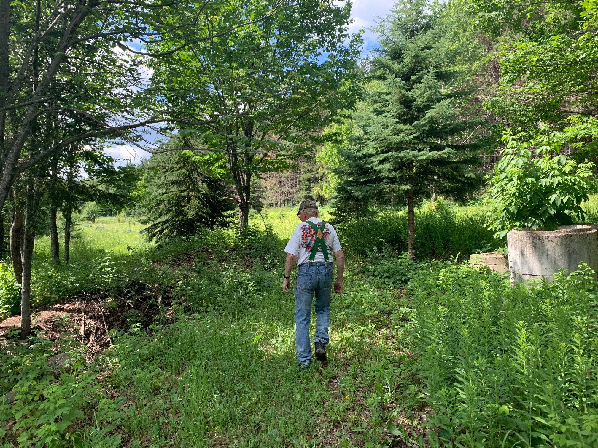 Member Spotlight - Elving Josephson | Forests Canada