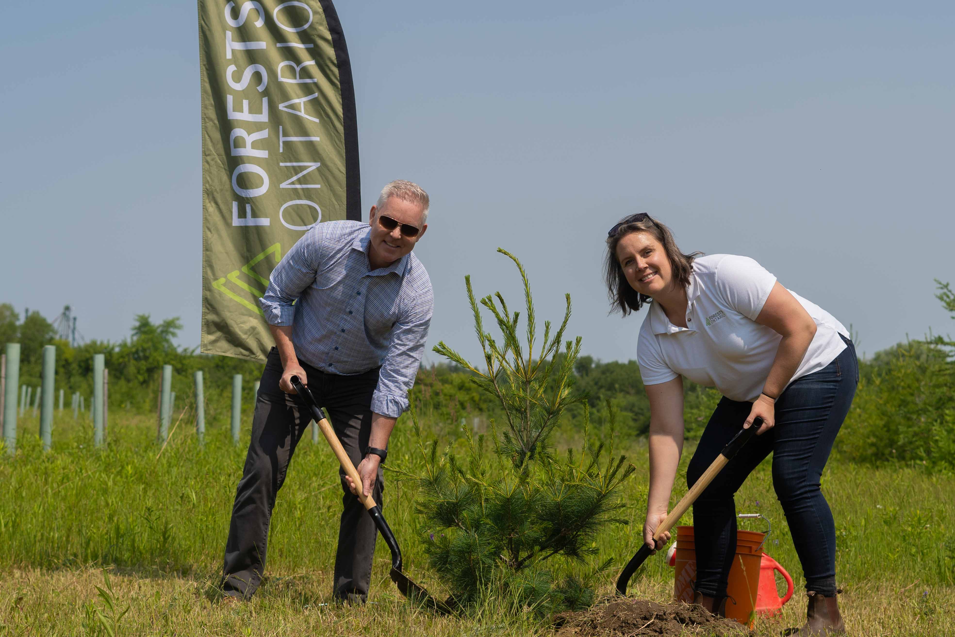 Greenbelt Foundation and Forests Ontario to plant 250,000 trees in the ...