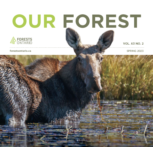 Our Forest Magazine - Volume 63, Number 2 | Forests Canada