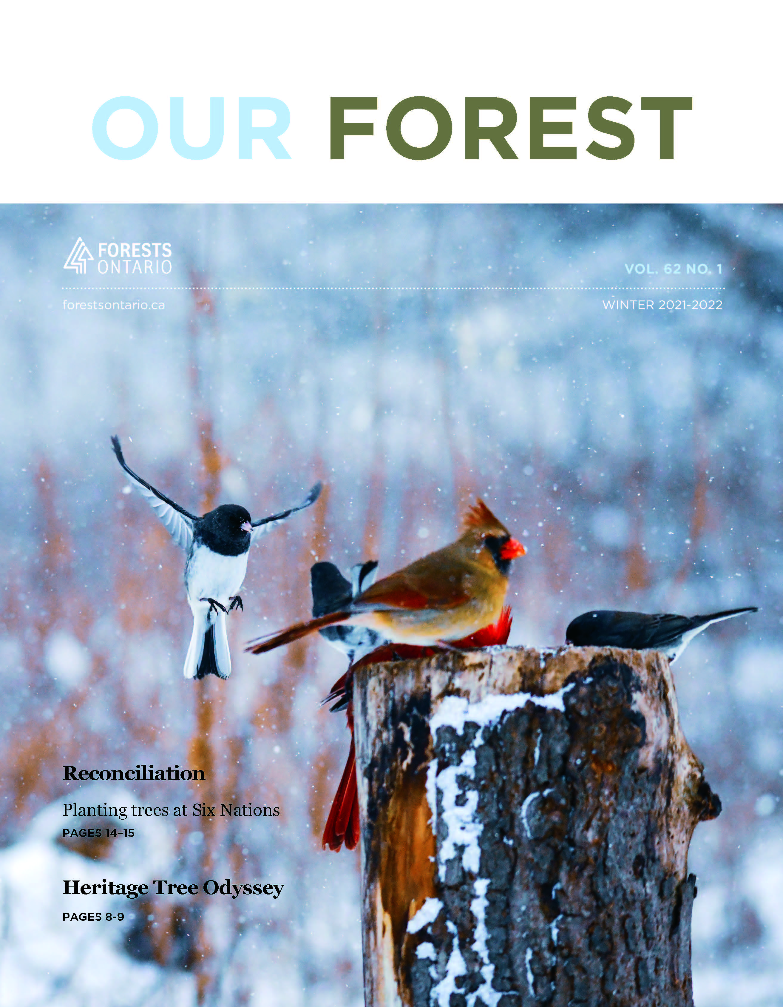 Our Forest Magazine - Volume 62, Number 1 | Forests Canada