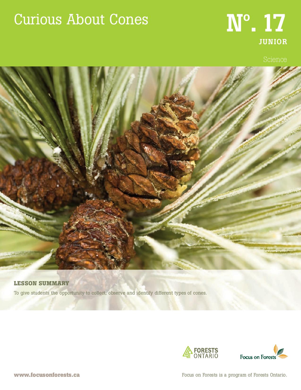 Curious About Cones | Forests Canada