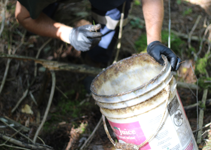 The Secret World of the Seed Collectors | Forests Canada