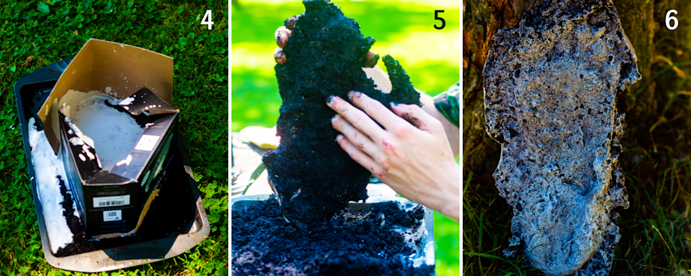 Bring the Forest Home with You by Casting an Animal’s Tracks | Forests ...