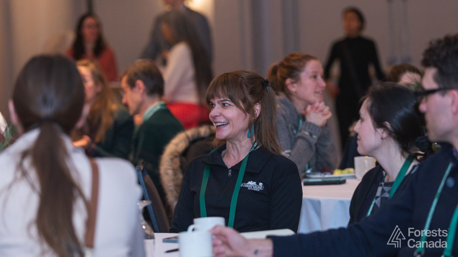 A Recap of The Forest Conference | Forests Canada
