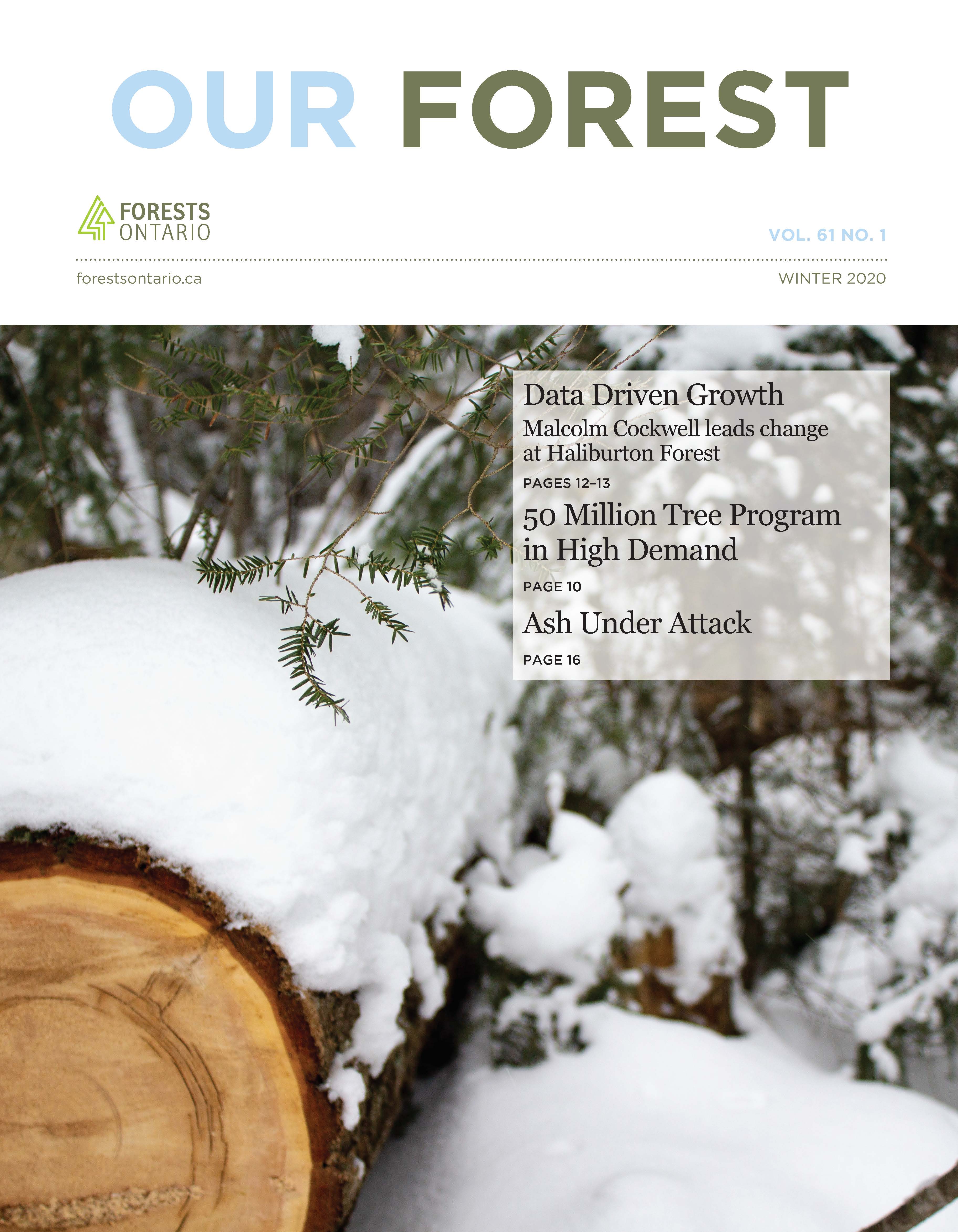 Our Forest Magazine - Volume 61, Number 1 | Forests Canada