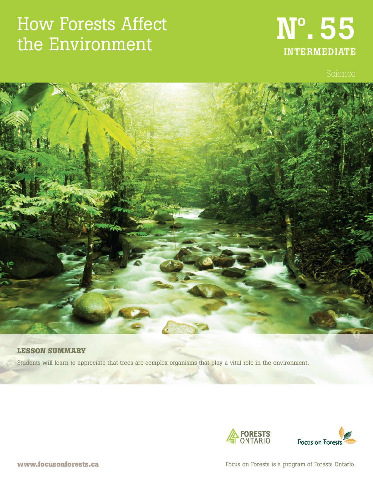 How Forests Affect the Environment | Forests Canada