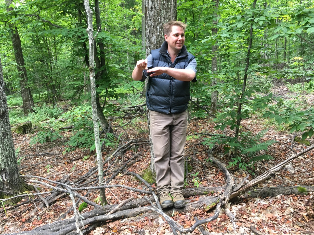 Malcolm Cockwell Takes Over as President of Forests Ontario | Forests ...