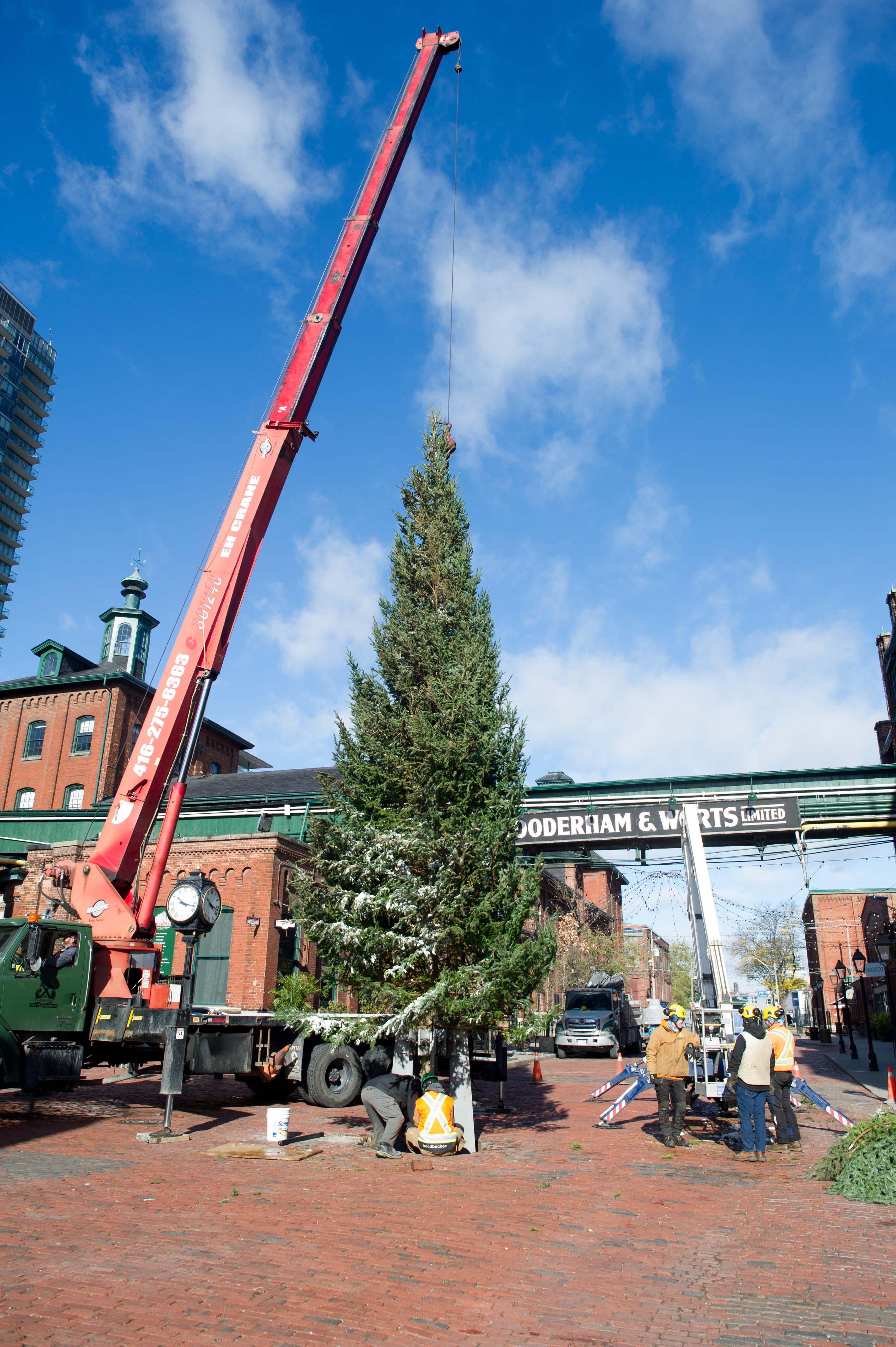 Grand Christmas Tree Arrives at the Distillery Historic District ...