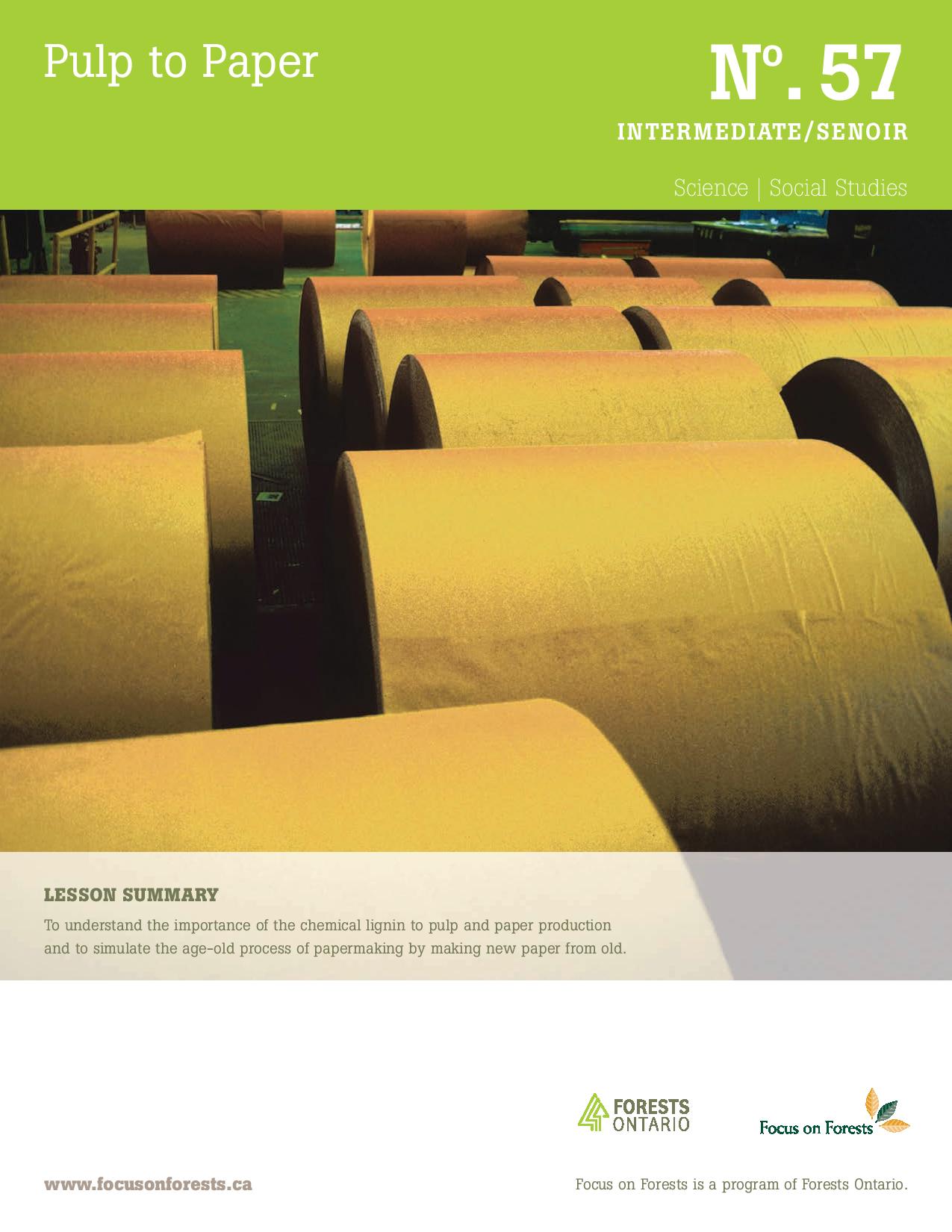 Pulp to Paper | Forests Canada