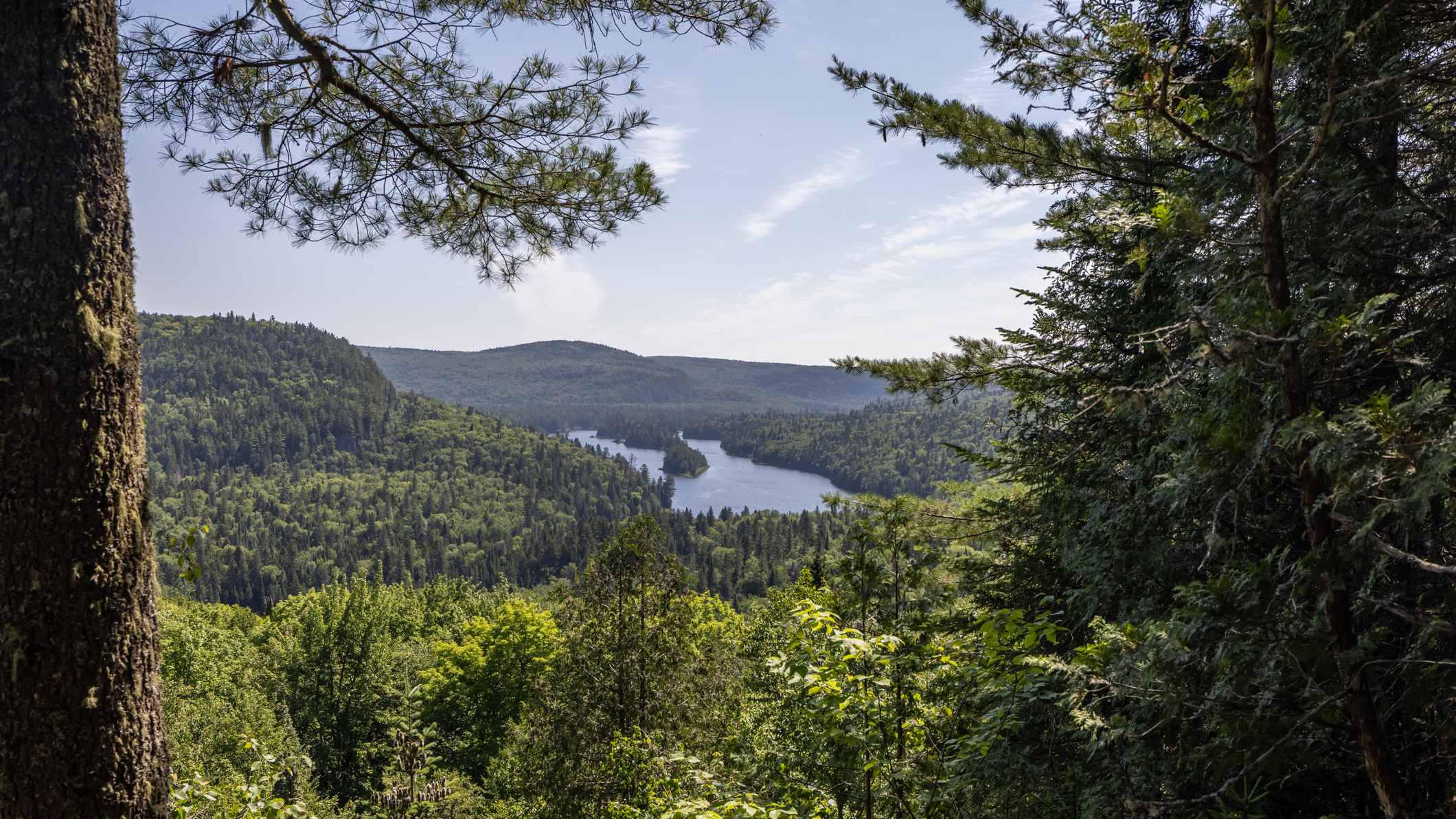 What we do at Forests Canada | Forests Canada