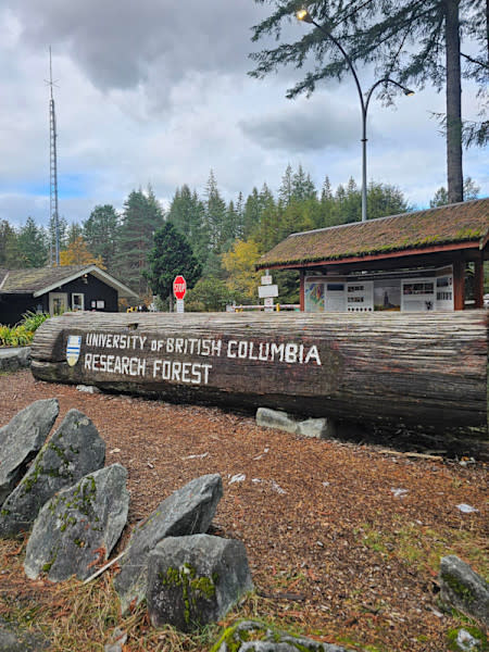 Forests Canada, Forests Ontario, forestry, restoration, tree planting ...