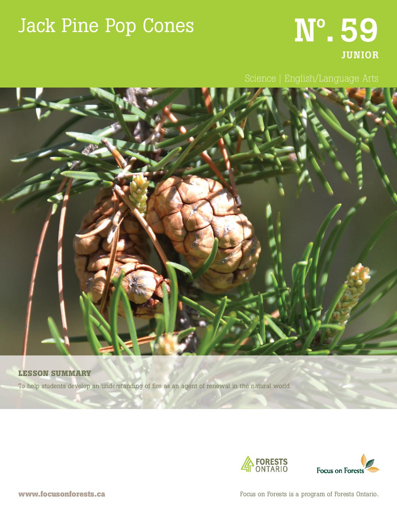 Jack Pine Pop Cones | Forests Canada