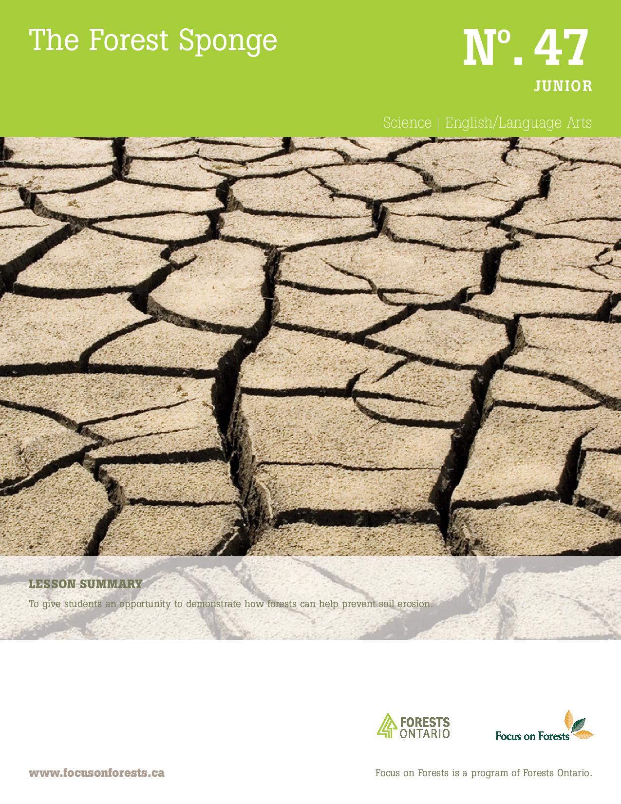 The Forest Sponge | Forests Canada