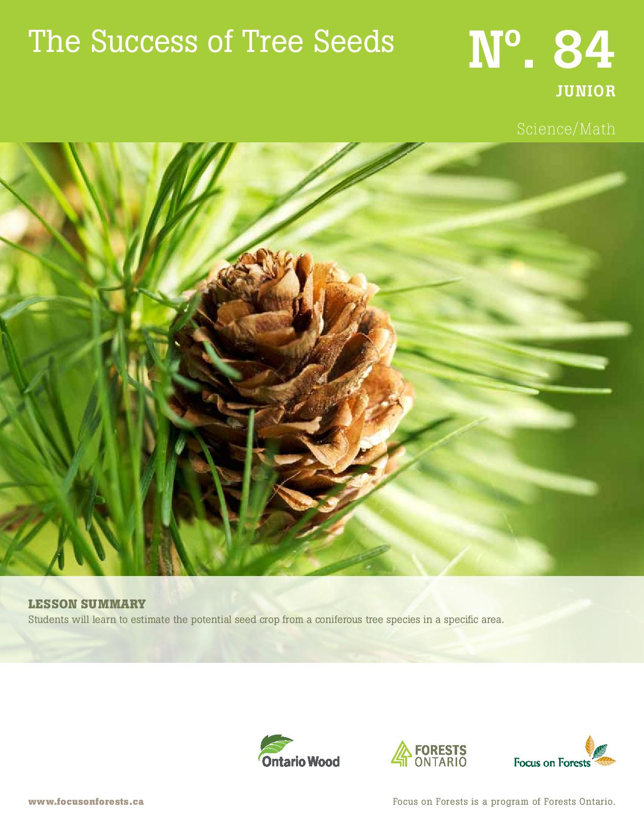 The Success of Tree Seeds | Forests Canada