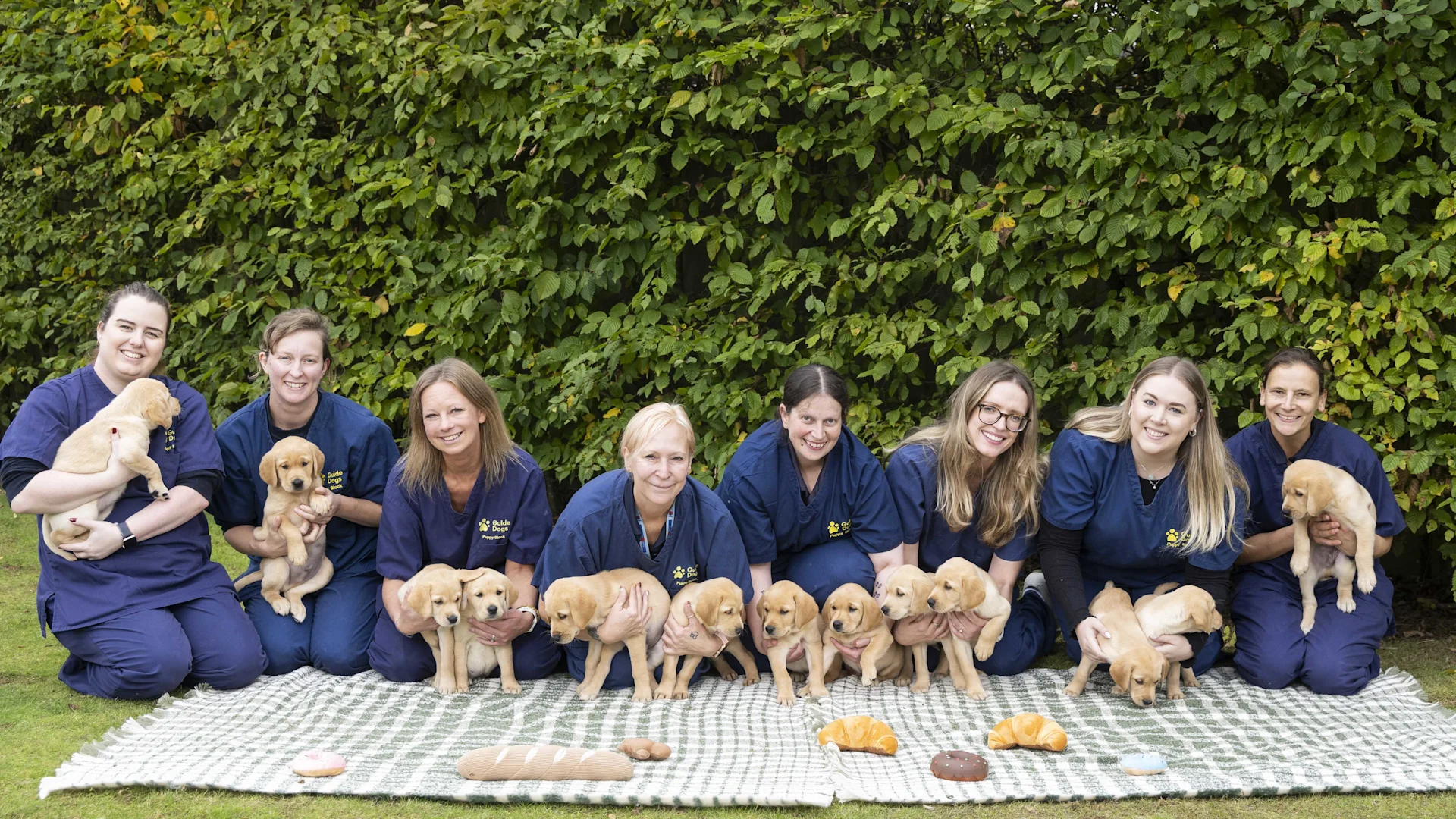 Unusual ‘Baker’s Dozen’ of guide dog puppies is cutest batch