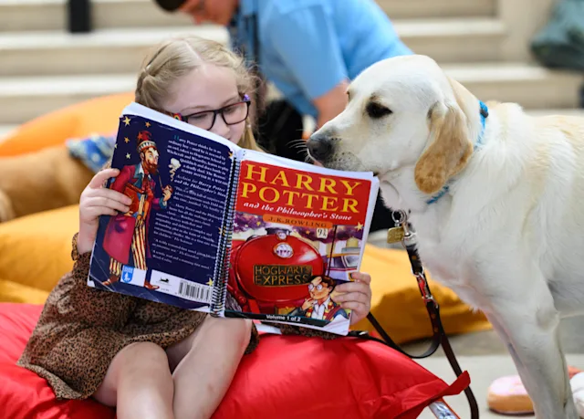 Children read to dogs in special Guide Dogs event