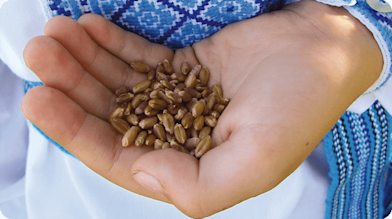 DOCAT | Social Doctrine of the Catholic Church