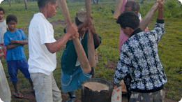 DOCAT | Social Doctrine of the Catholic Church