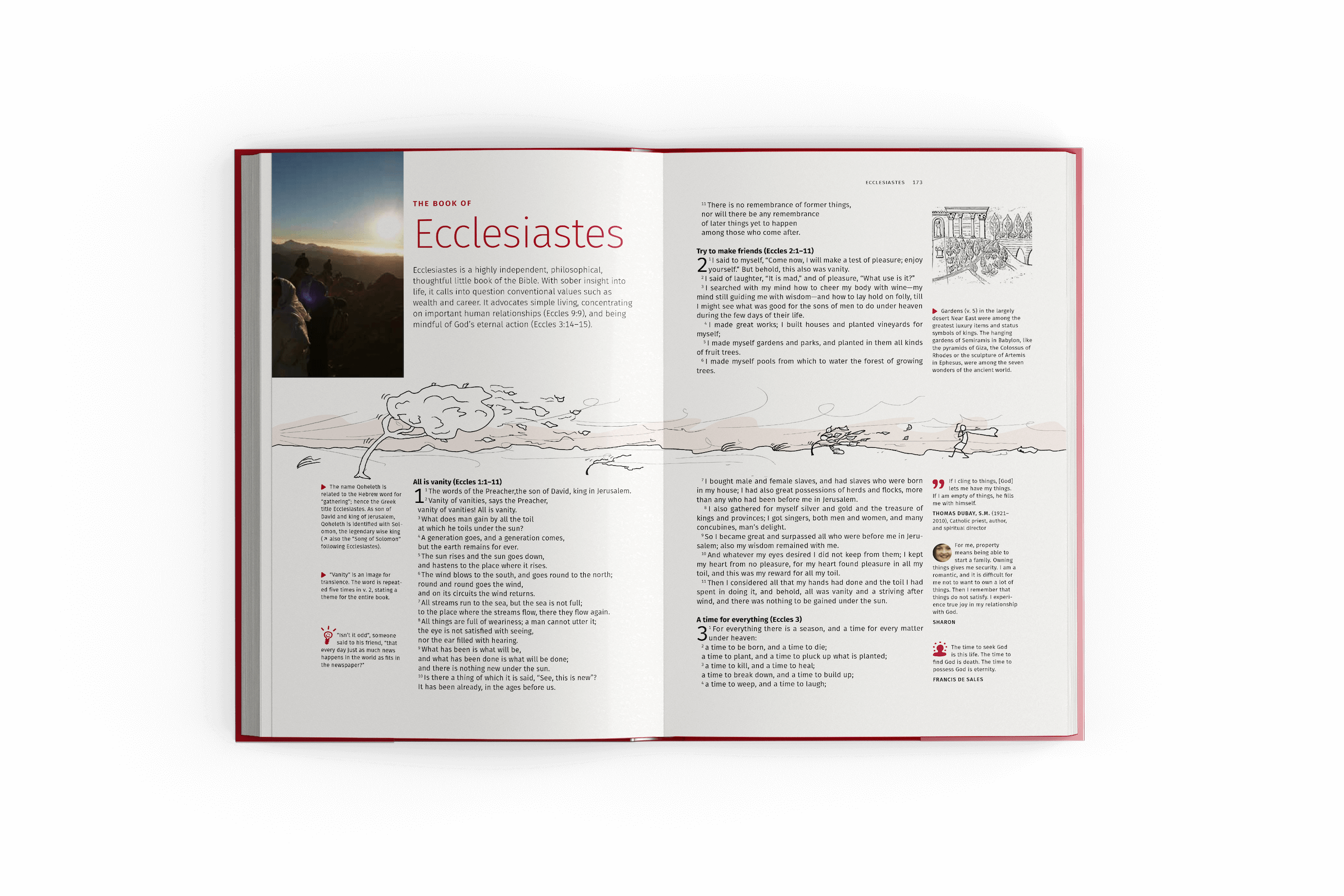 Y-Bible | Designed Bible for Beginners