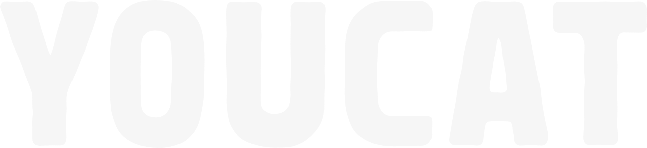 YOUCAT | Catholic faith and catechism for the Youth