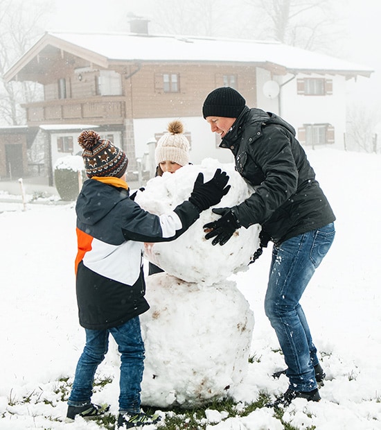 Snowball Strategy - Visual Story | Ally