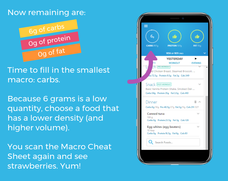 5 Tips to Help You Hit Your “End of the Day” Macros - Macrostax