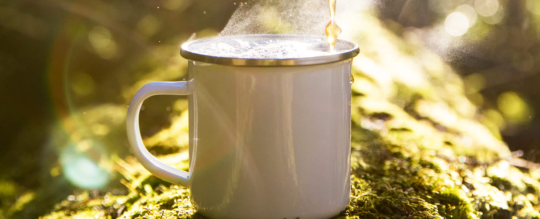 Tea Products | Canada EN | Lipton