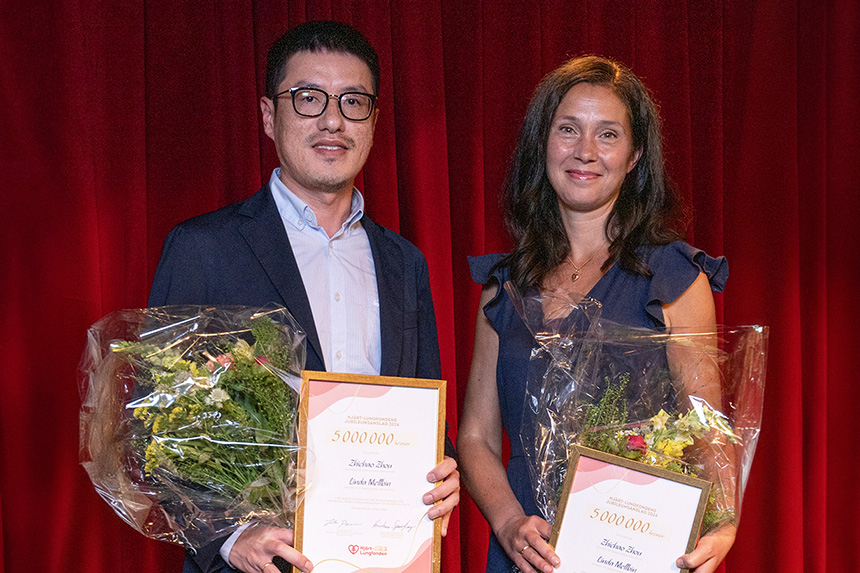 Vårt jubileumsanslag | Hjärt-Lungfonden