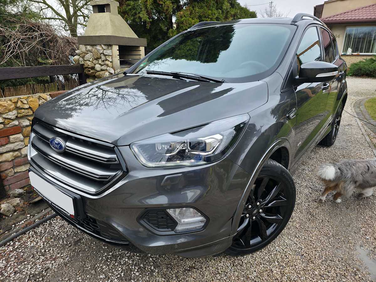 Sprawdź samochody w naszej ofercie - JM Car Company