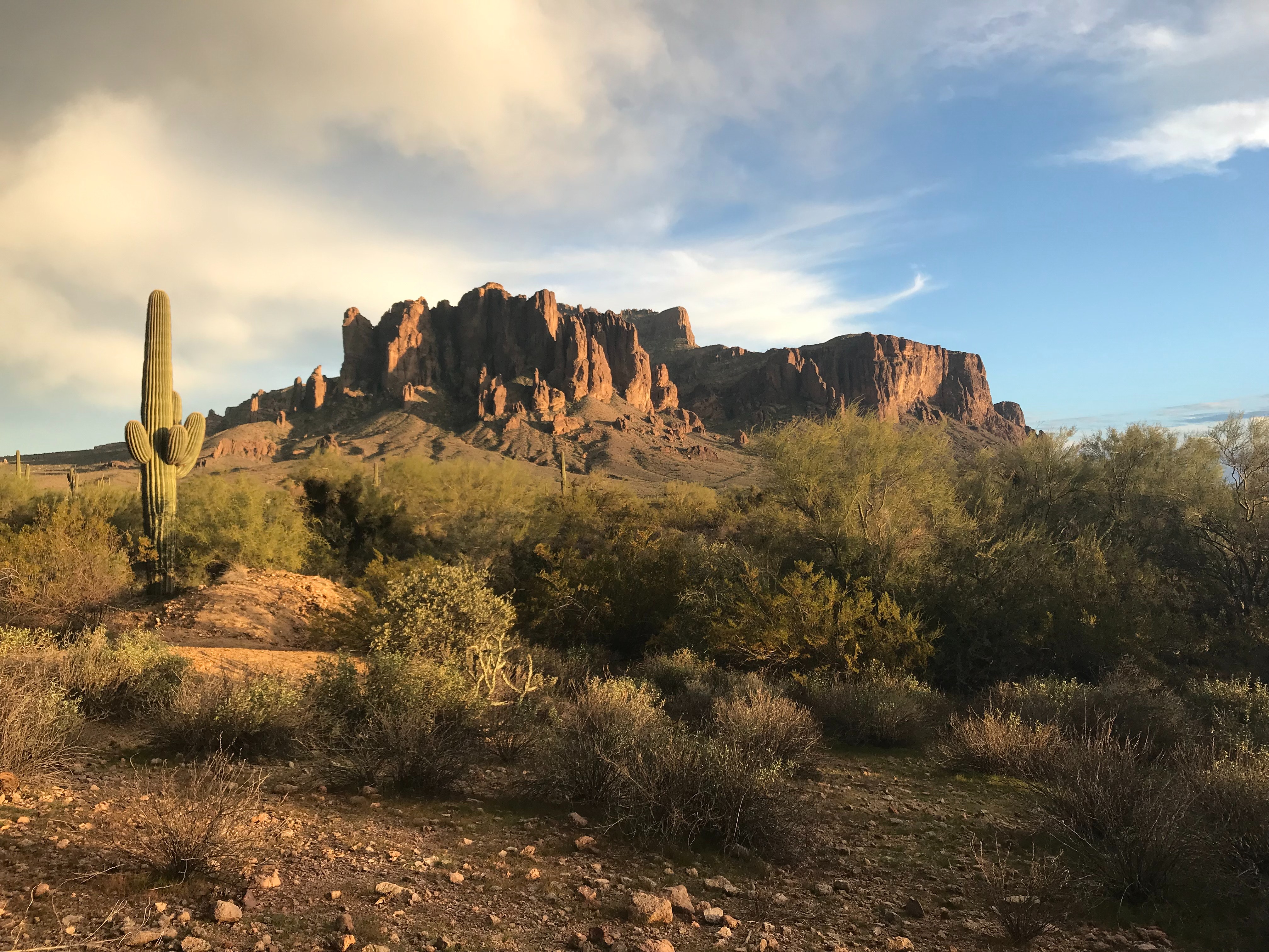 13 Best Ways for Seniors to Stay Active in Phoenix