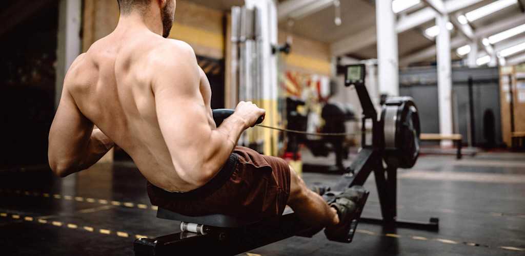 Superset: o que é e como incluir nos seus treinos | YoPRO