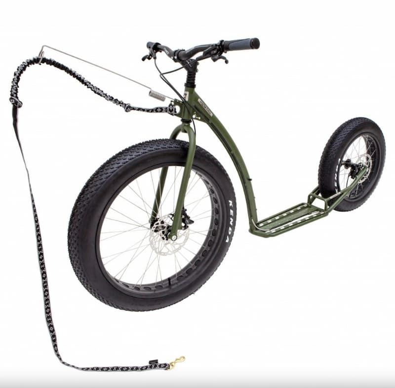 Kickbike Hund Test ⭐ Se den beste - vår testvinner