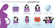 Ovulation Symptoms Ovulation Symptoms PREGMATE Ovulation Symptoms Ovulation Symptoms PREGMATE