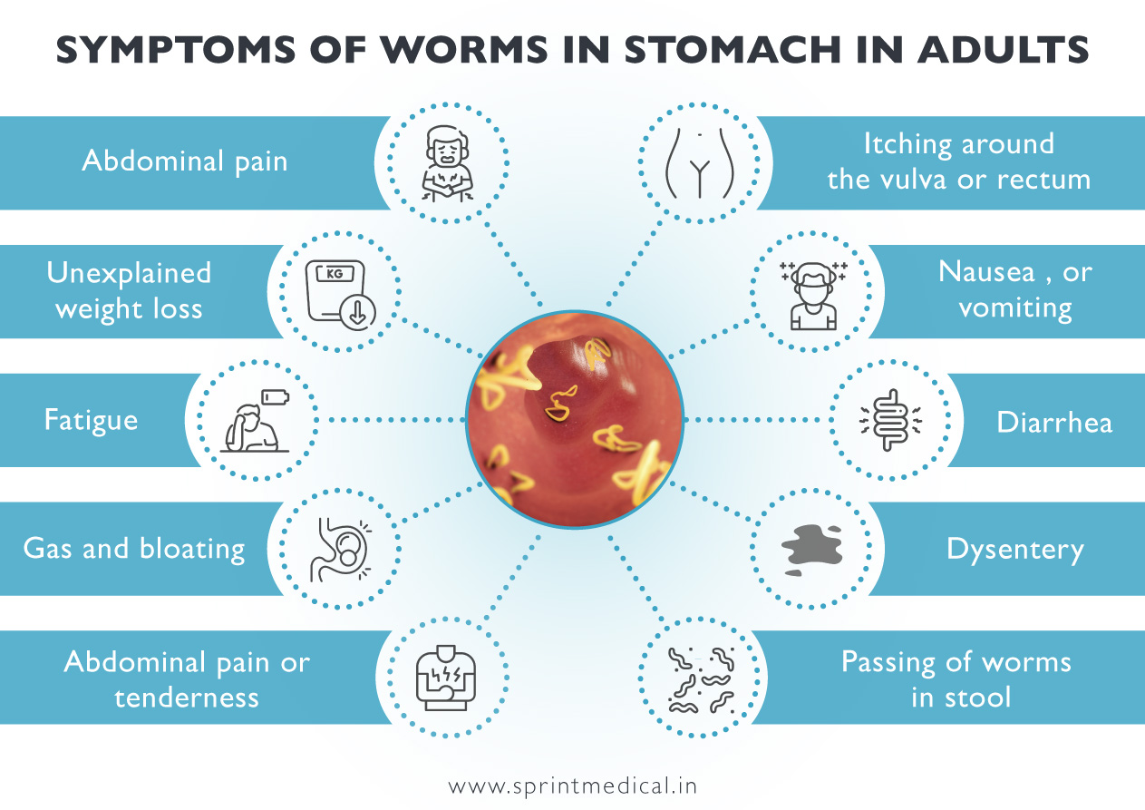 Types Of Stomach Worms In Humans