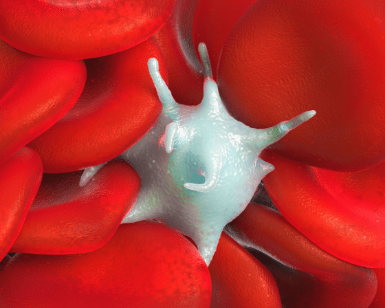 Dengue Symptoms and Its Relation with Platelet Level Counts | HelpEzee