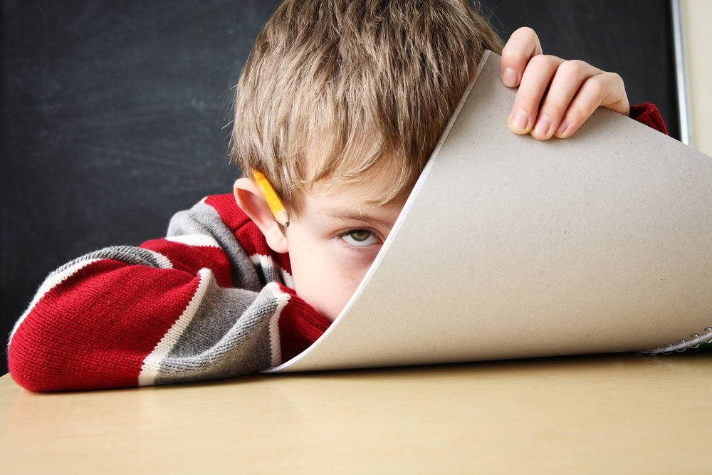 My Students Can’t Meet Academic Standards Because the School Mode