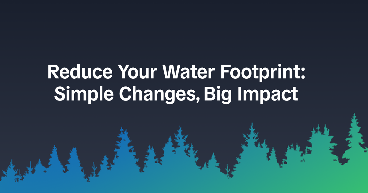 Water Conservation Guide: Simple Changes to Make a Big Impact