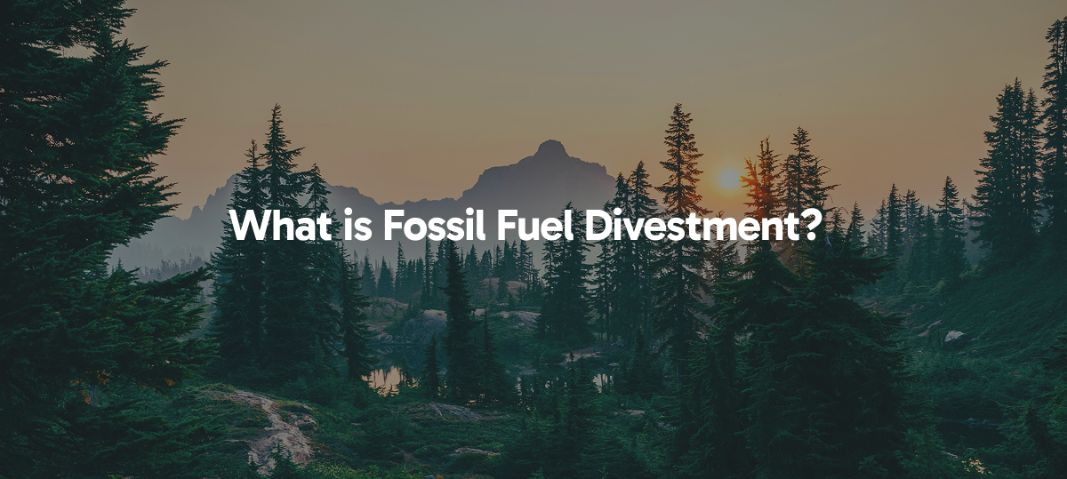 What Is Fossil Fuel Divestment? How to Green Your Money and Divest From ...