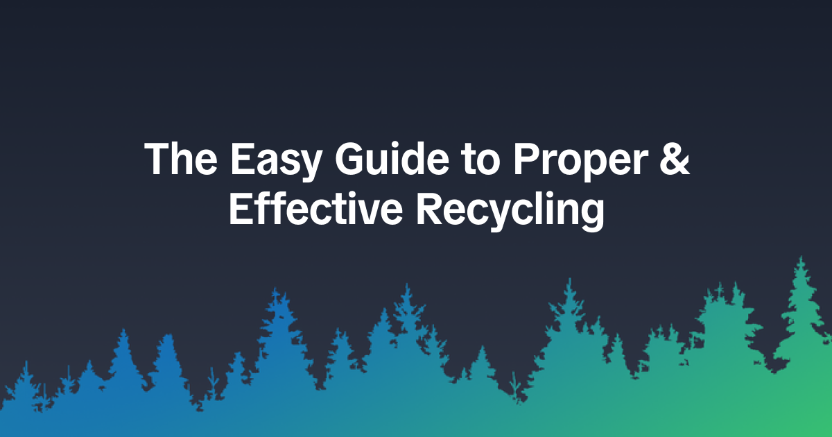Recycling Guide | Everything You Need to Know About Proper and ...